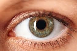 Pupil movements reveal trauma - eyeonoptics
