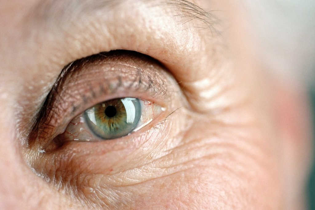 Medical retina research update - nzoptics