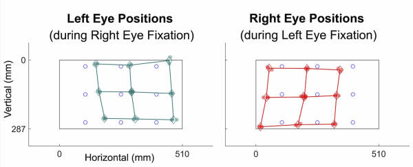 Strabismus measurement made easy