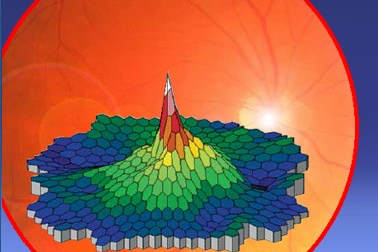 Inaugural electrophysiology meeting